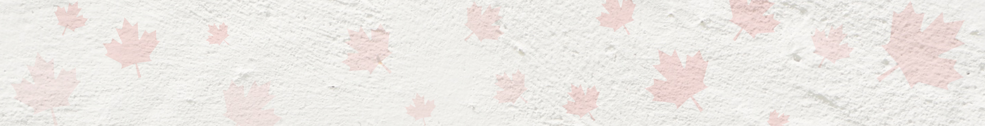 2019-ASG-below-header-background1 – Al Simmons Gun Shop